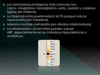 Insuficiencia Renal Aguda. Concepto, Etiologia, Fisiopatologia y ...