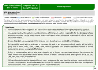 Active Ingredient Mode of Action of Insecticide | PDF