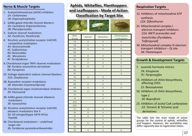 Active Ingredient Mode of Action of Insecticide | PPT