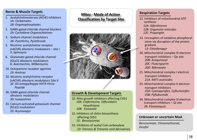 Active Ingredient Mode of Action of Insecticide | PPT