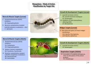 Active Ingredient Mode of Action of Insecticide | PDF