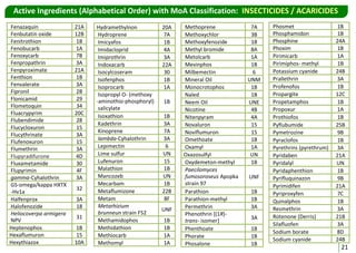 Active Ingredient Mode of Action of Insecticide | PDF
