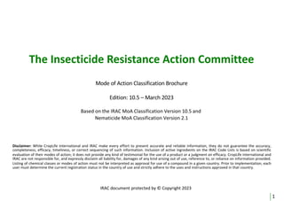 Active Ingredient Mode of Action of Insecticide | PDF