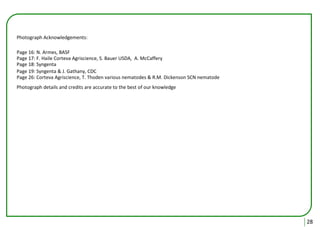 Active Ingredient Mode of Action of Insecticide | PDF