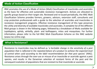 Active Ingredient Mode of Action of Insecticide | PDF