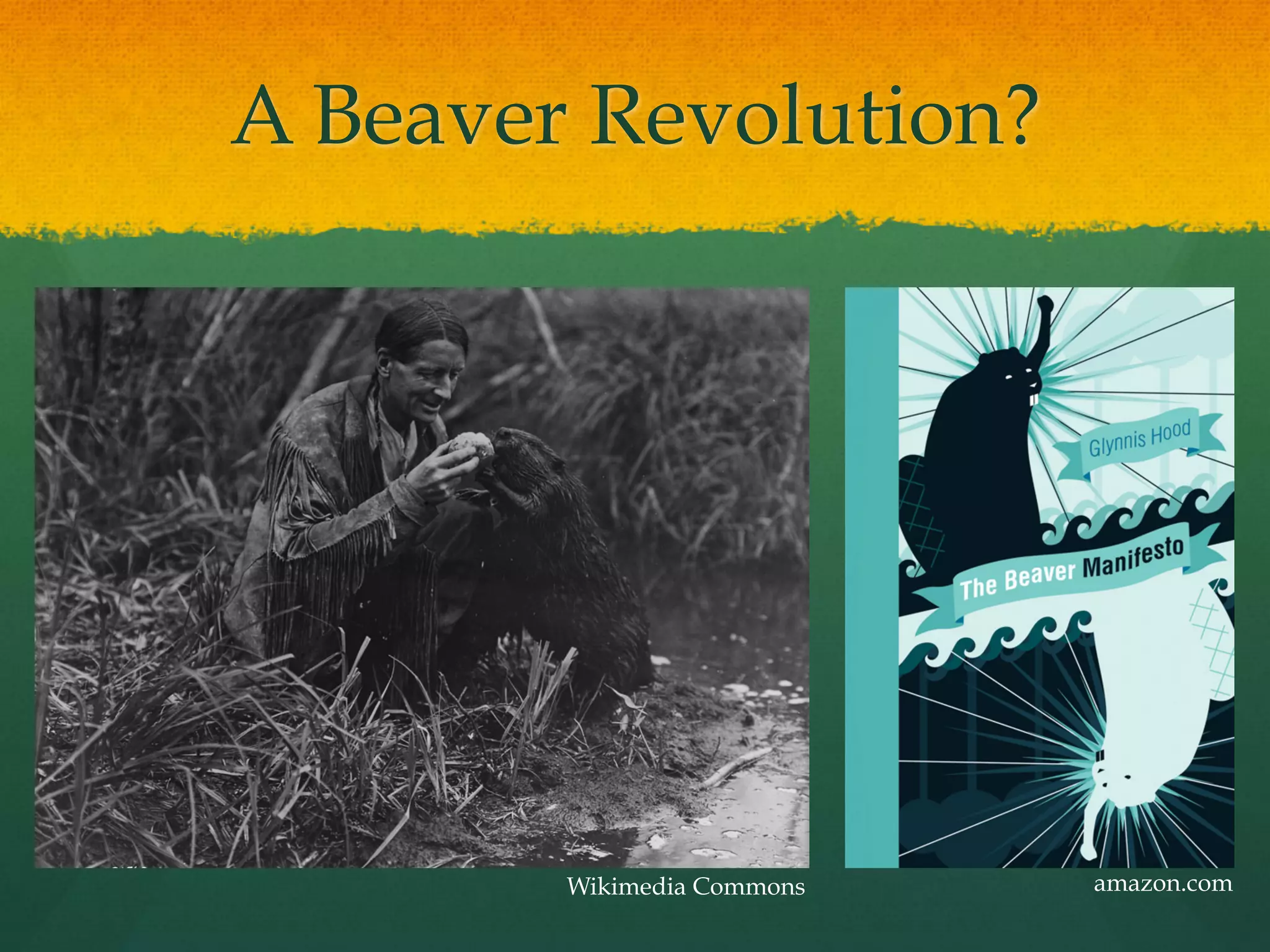 Iraleigh Anderson - Working with the American Beaver - Restoration ...