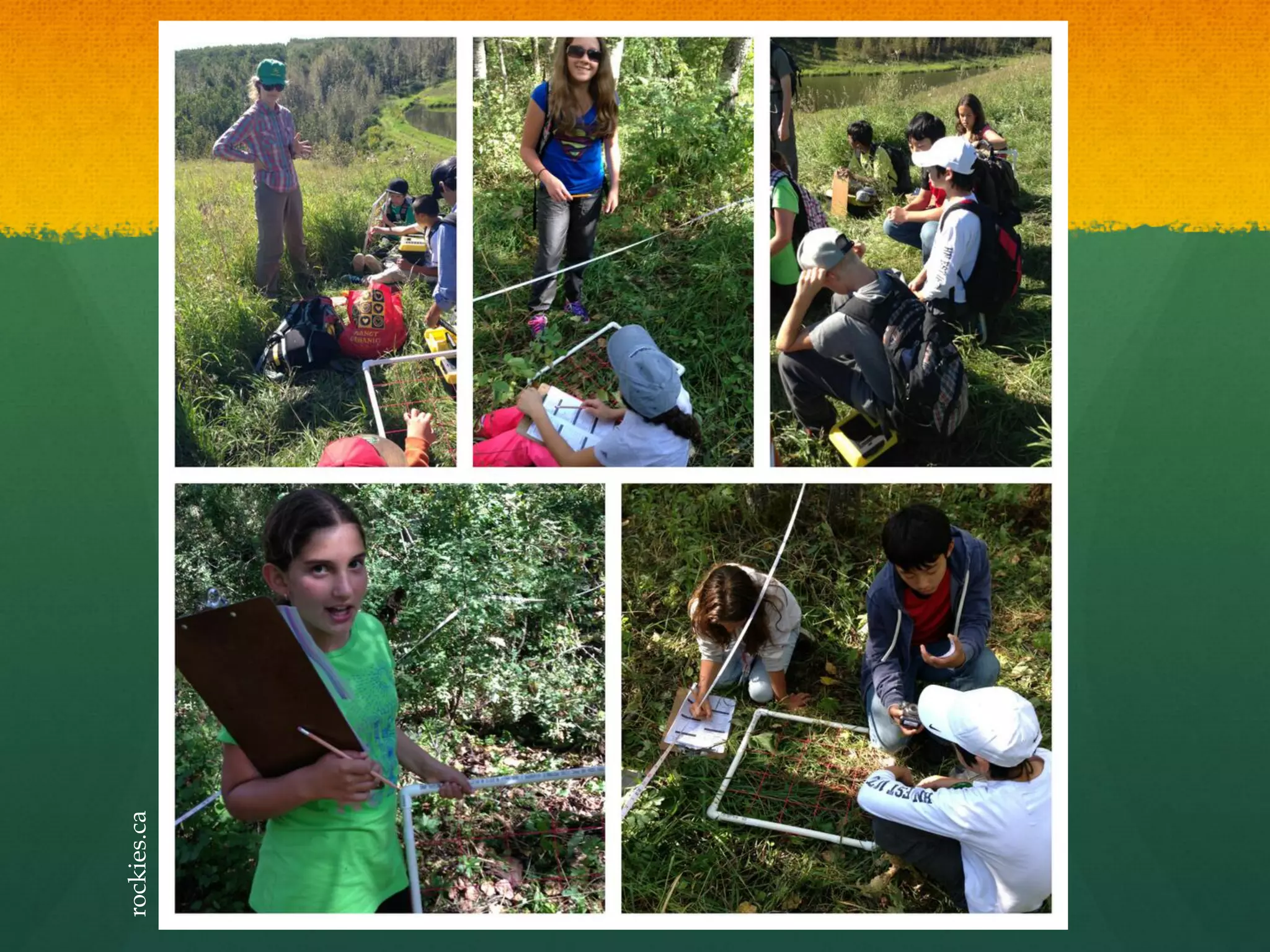 Iraleigh Anderson - Working with the American Beaver - Restoration ...