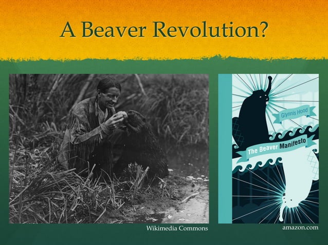 Iraleigh Anderson - Working with the American Beaver - Restoration ...