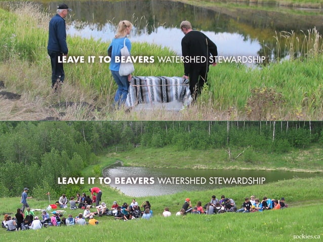 Iraleigh Anderson - Working with the American Beaver - Restoration ...