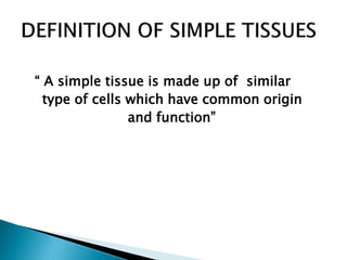 simple tissues | PPTX | Gardening | Home & Garden