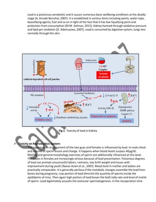 Toxicity of lead and mercury | PDF