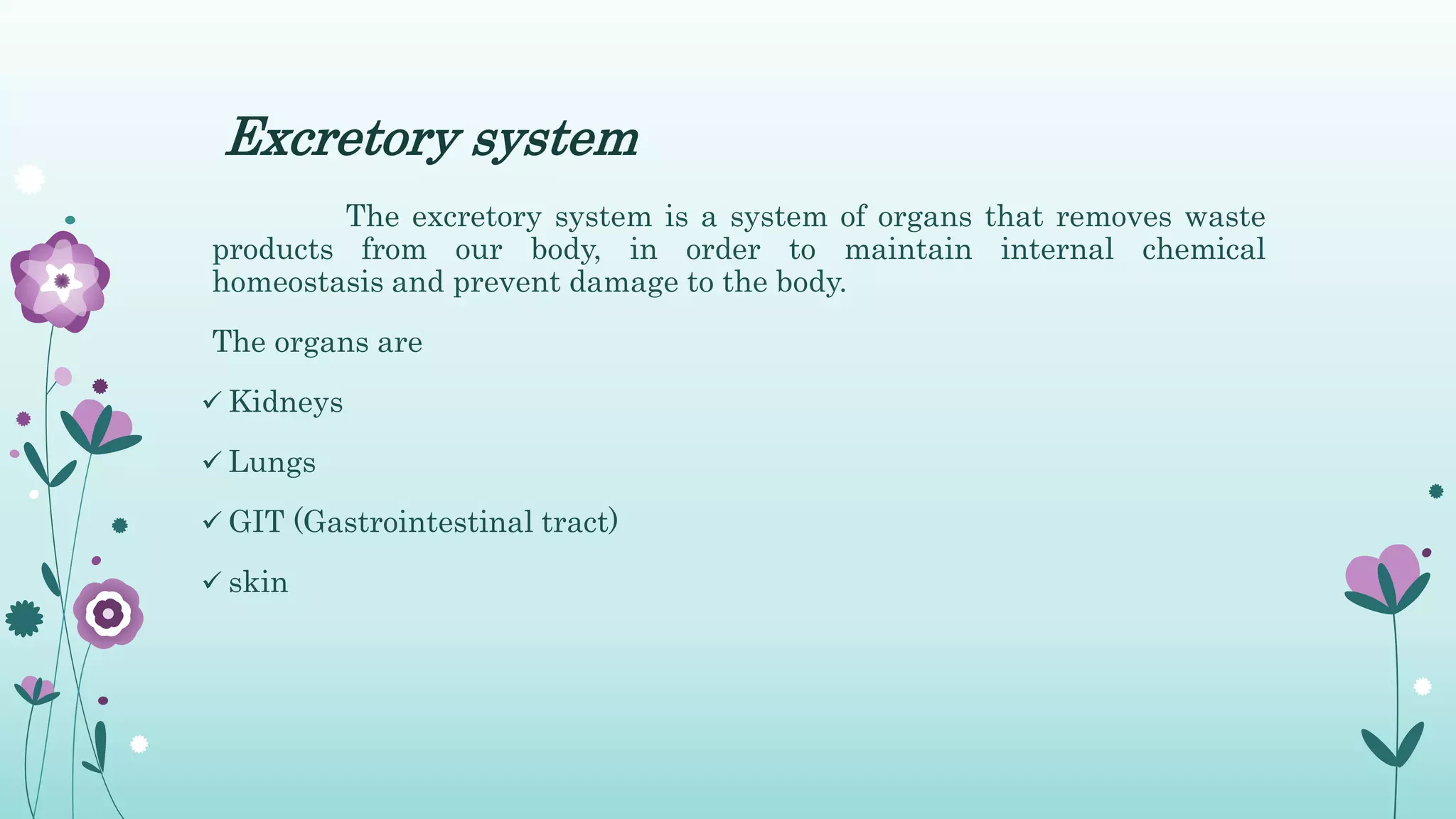 excretory system | PPT