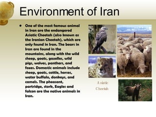 Iran | PPT