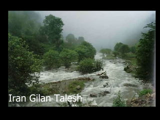 Iran Persia Nature | PPT