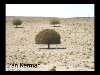 Iran Persia Nature | PPS | Geography | Science