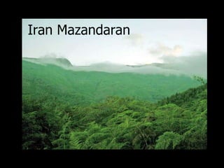 Iran Persia Nature | PPT