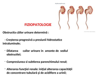 nephrology renal acute obstruction. pptx | PPTX