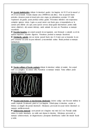 Ira pavliuc tema practică nr.1 | DOCX