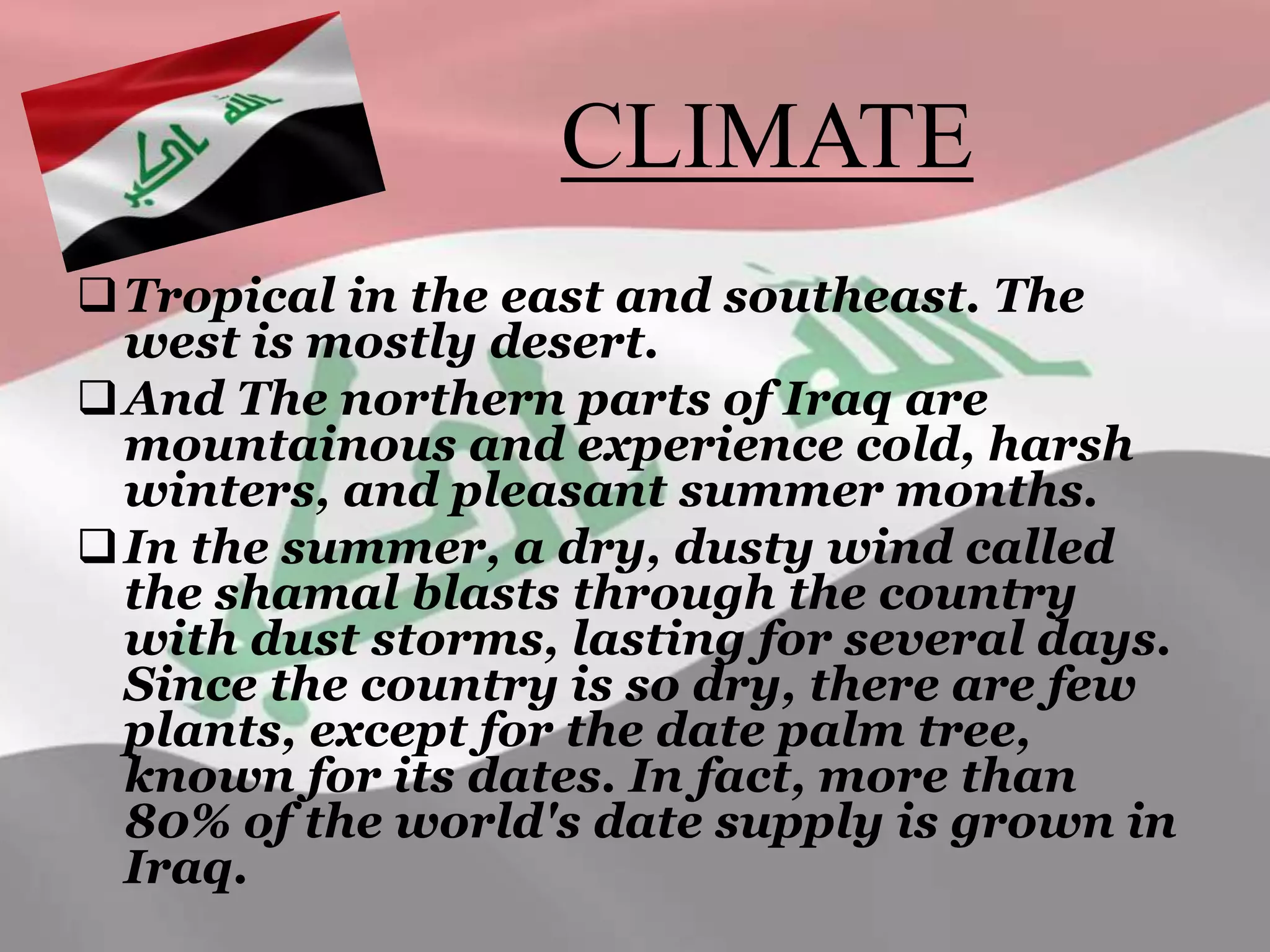 Iraq Culture Presentation | PPTX