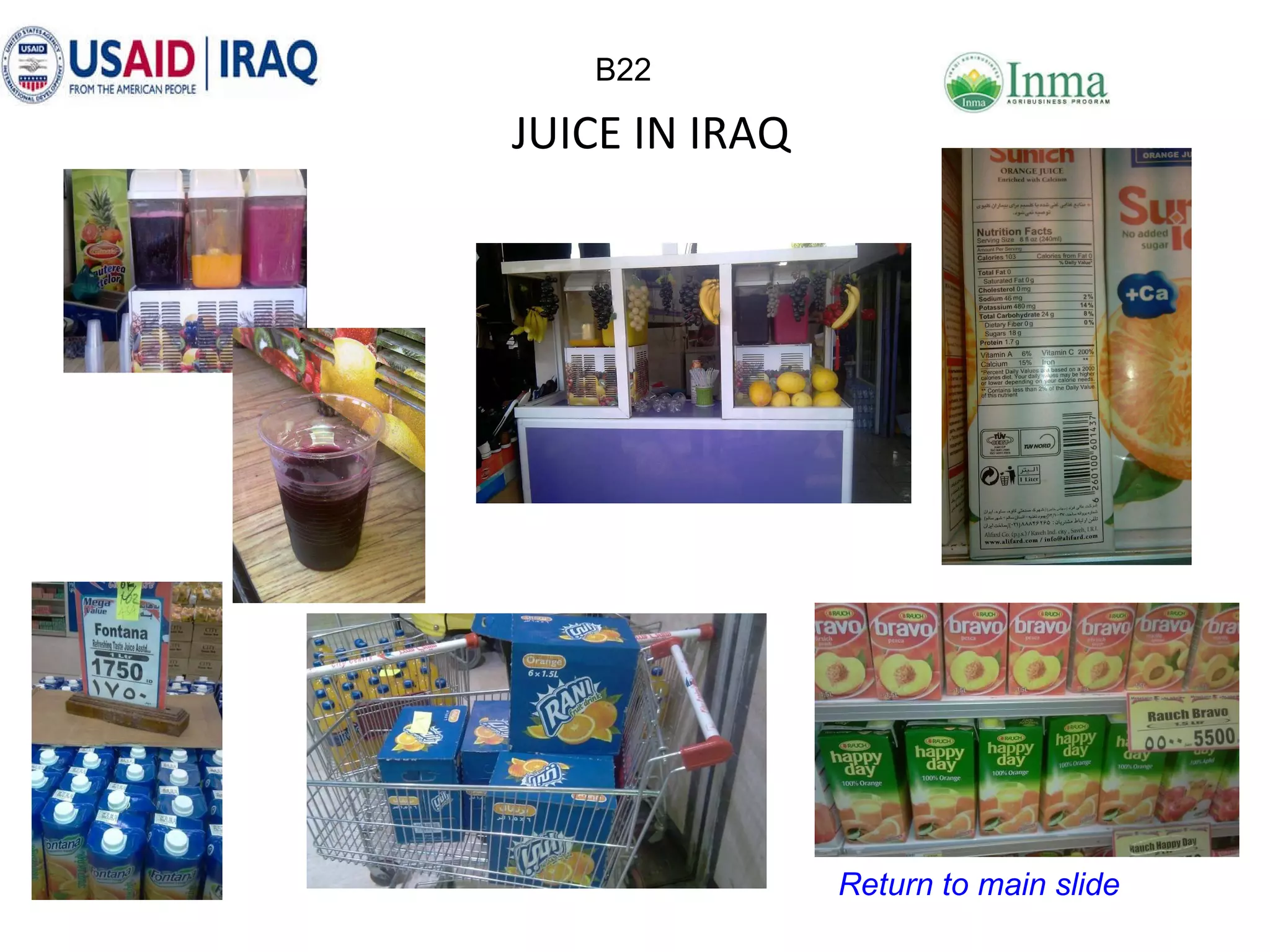 Iraq Fruit Juice Project | PPT | Agriculture | Industries