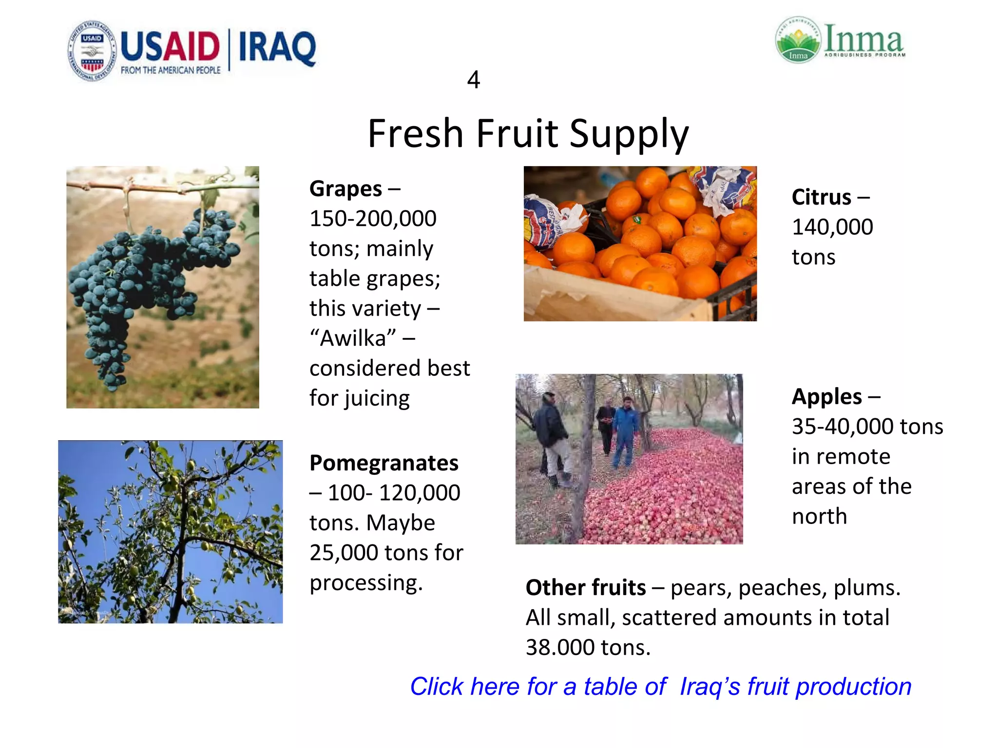 Iraq Fruit Juice Project | PPT | Agriculture | Industries