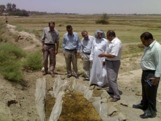 1044 Iraq System of Rice Intensifcation (SRI) Photos | PPT
