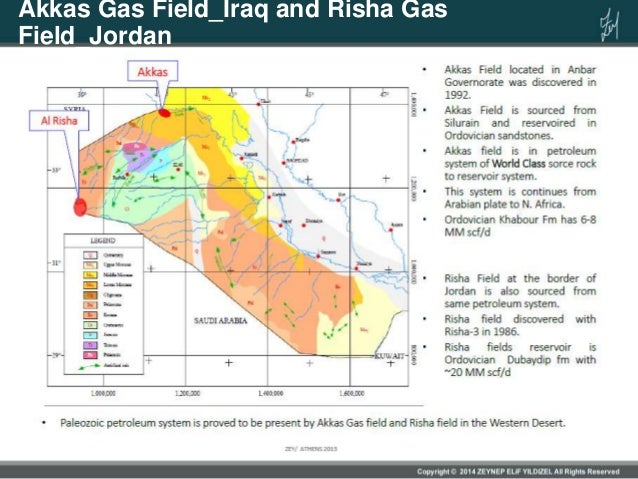 Iraq Western Desert 2013