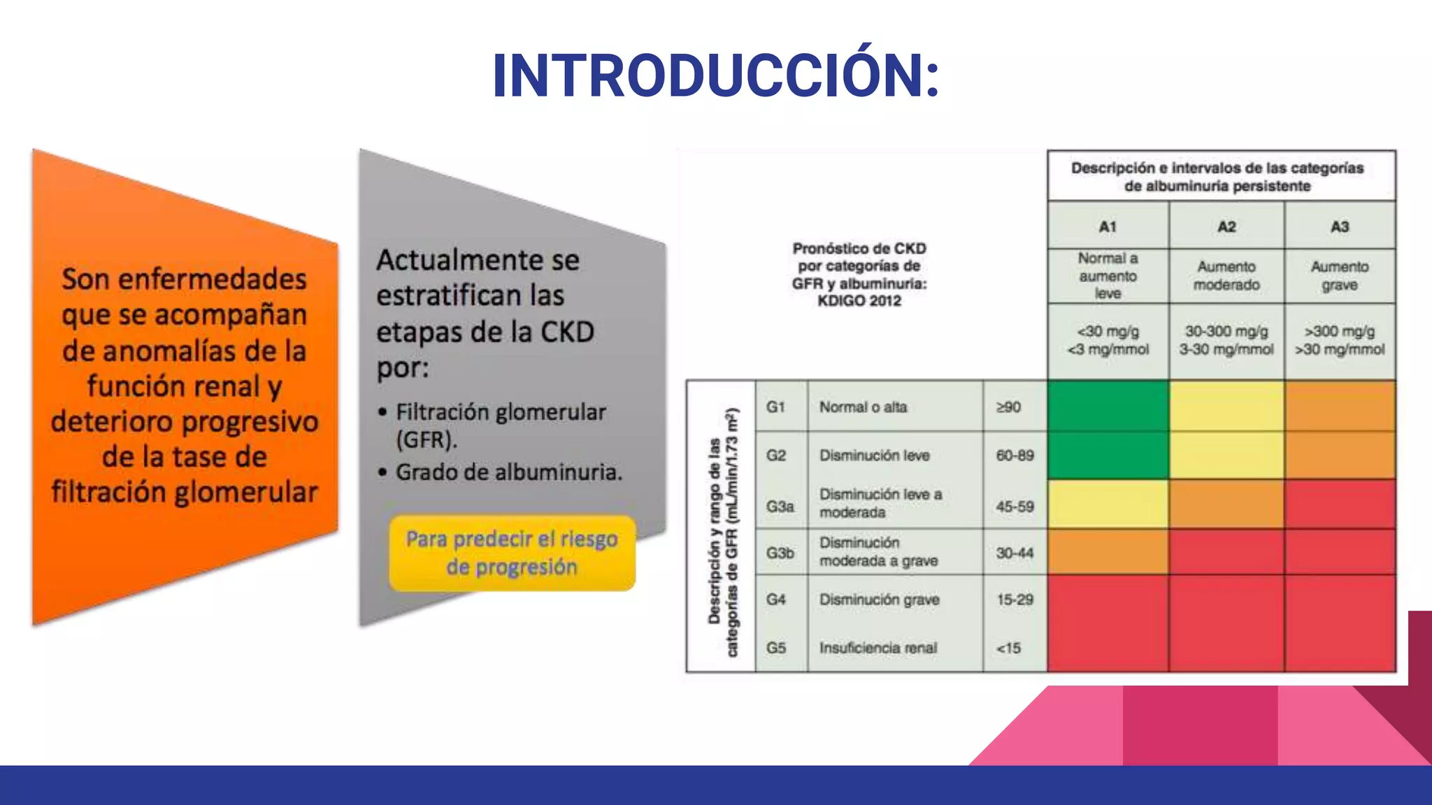 Insuficiencia Renal Aguda (IRA) y Enfermedad Renal Crónica (ERC) | PPTX