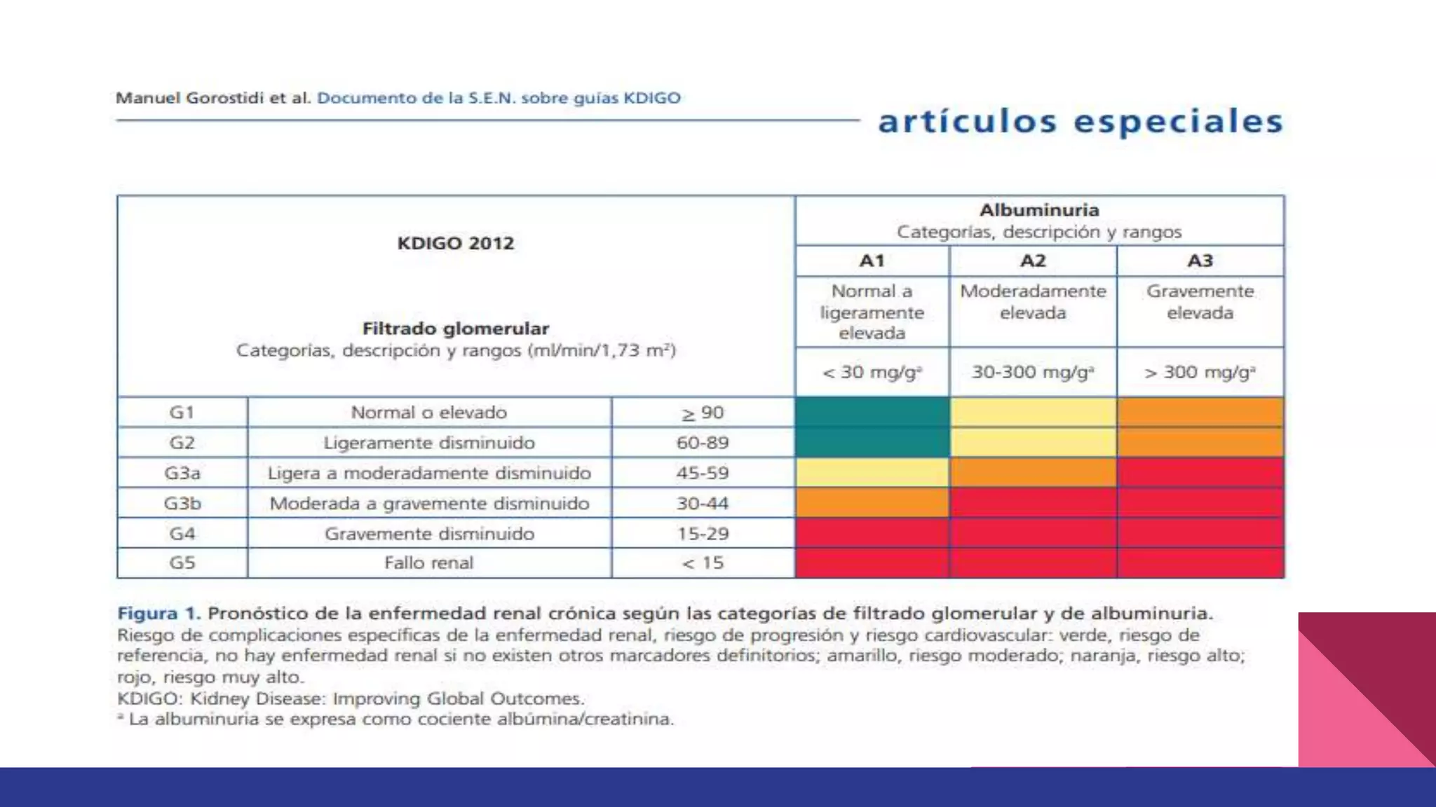 Insuficiencia Renal Aguda (IRA) y Enfermedad Renal Crónica (ERC) | PPTX
