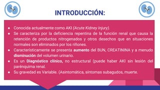 Insuficiencia Renal Aguda (IRA) y Enfermedad Renal Crónica (ERC) | PPTX