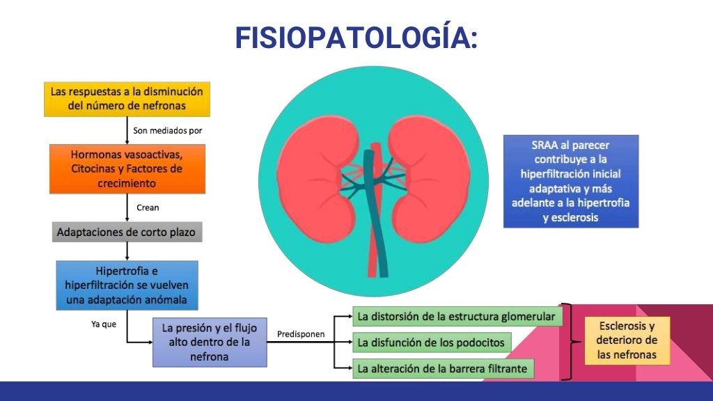 Insuficiencia Renal Aguda (IRA) y Enfermedad Renal Crónica (ERC) Insuficiencia Renal Aguda (IRA) y Enfermedad Renal Crónica (ERC)