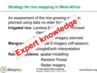 Mapping rice and rice growing environments in West-Africa using remote sensing and spatial ...