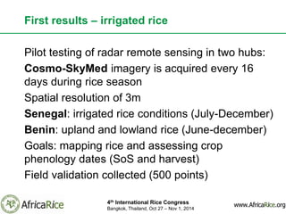 Mapping rice and rice growing environments in West-Africa using remote ...