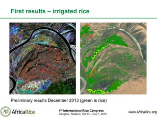Mapping rice and rice growing environments in West-Africa using remote sensing and spatial ...