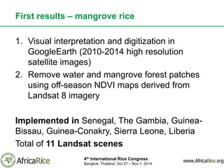 Mapping rice and rice growing environments in West-Africa using remote sensing and spatial ...