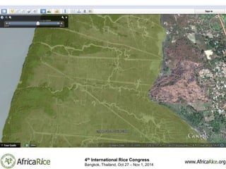 Mapping rice and rice growing environments in West-Africa using remote sensing and spatial ...
