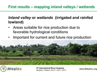 Mapping rice and rice growing environments in West-Africa using remote sensing and spatial ...