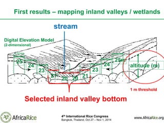 Mapping rice and rice growing environments in West-Africa using remote sensing and spatial ...