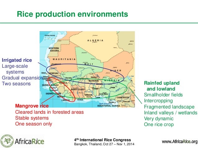 Mapping rice and rice growing environments in West-Africa using remot…