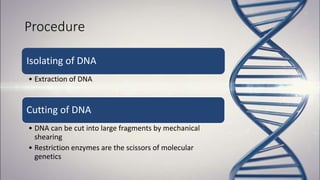 Recombinant DNA Technology | PPTX