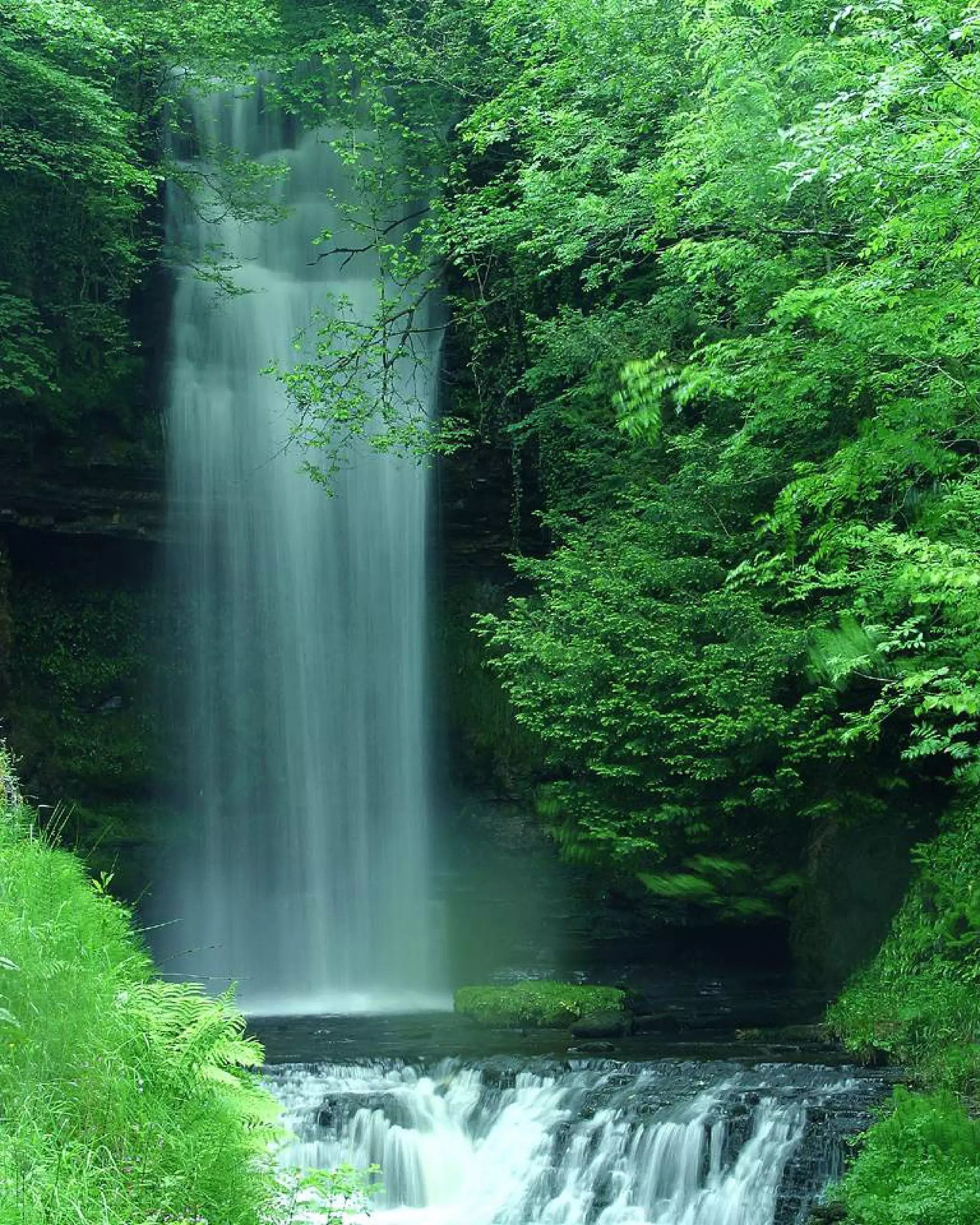 Ireland 110 bg_061602 | PDF