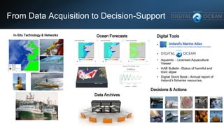 Irelands Digital Ocean Programme - Developing Digital Twin Capabilities ...