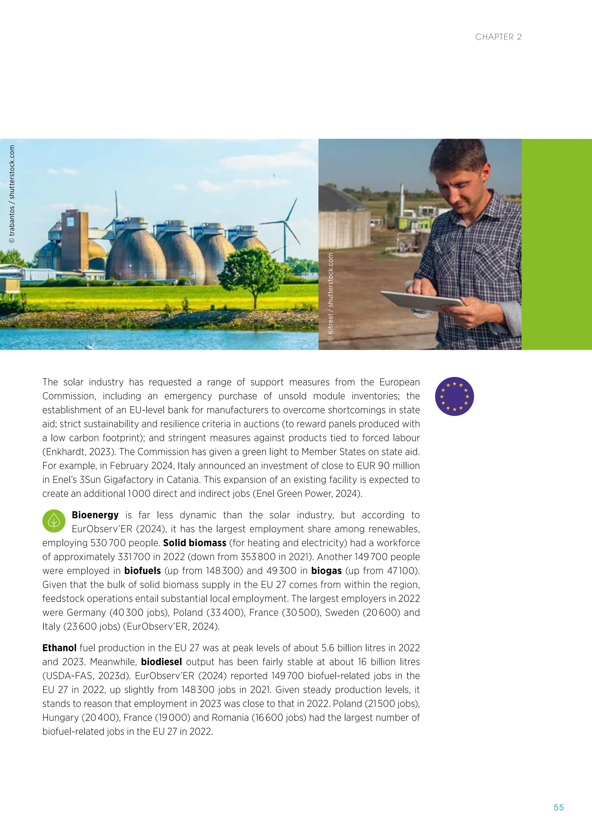 IRENA Renewable Energy and Jobs Report 2024 | PDF