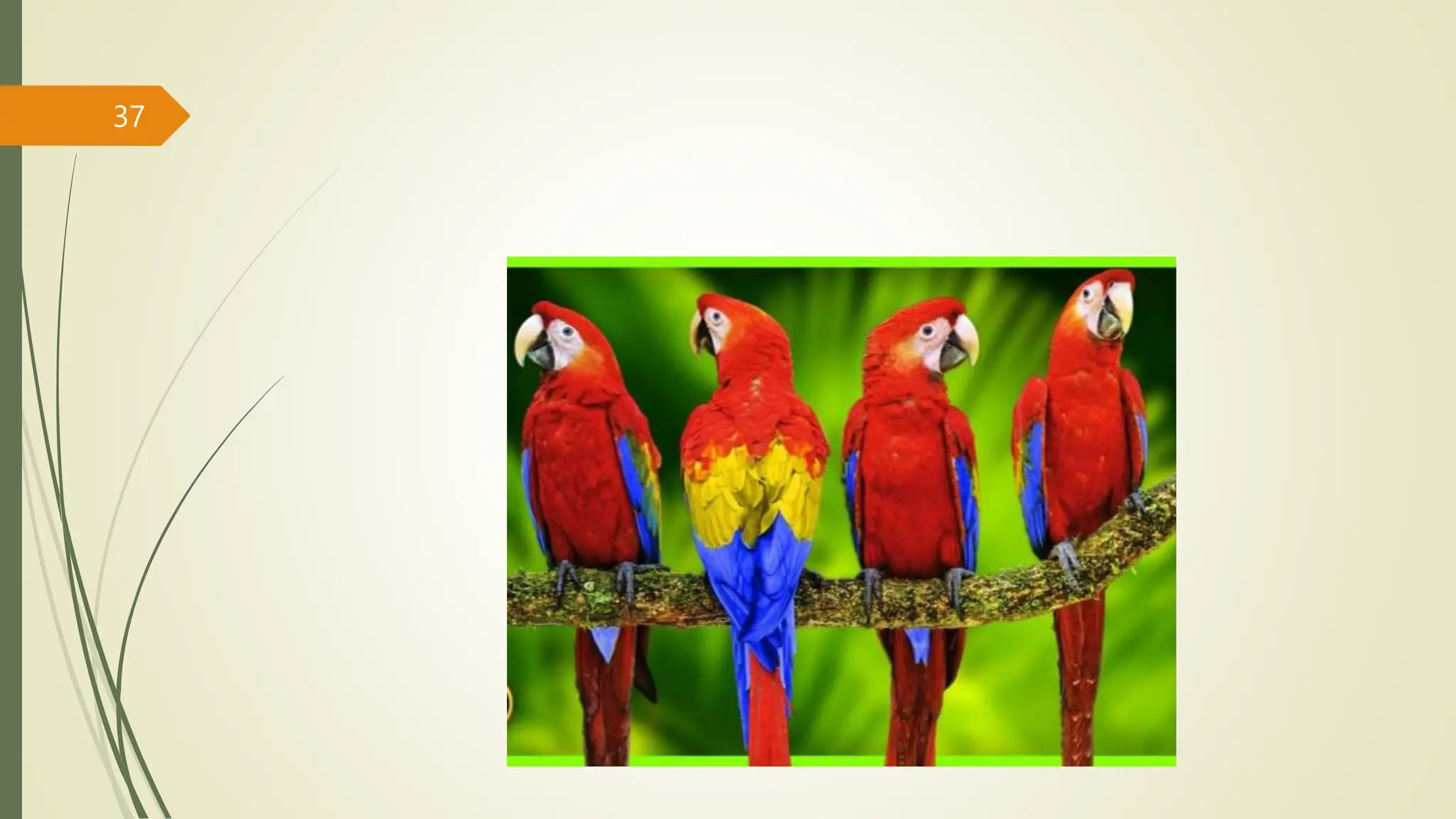 Irene 090421.pptxhttps://www.slideshare.net/aamirmuhammadaamir77/resume-writing-ppt?fbclid ...