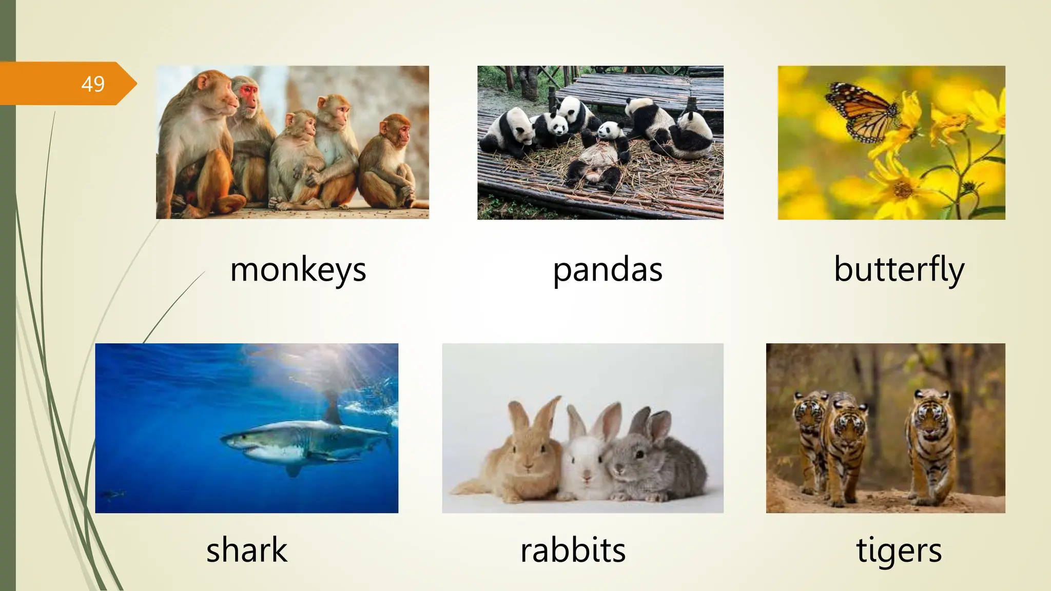 Irene 090421.pptxhttps://www.slideshare.net/aamirmuhammadaamir77/resume-writing-ppt?fbclid ...