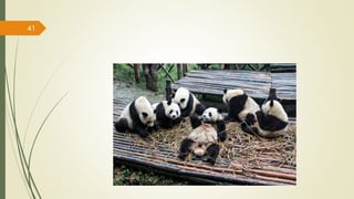 Irene 090421.pptxhttps://www.slideshare.net/aamirmuhammadaamir77/resume-writing-ppt?fbclid ...