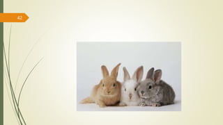 Irene 090421.pptxhttps://www.slideshare.net/aamirmuhammadaamir77/resume-writing-ppt?fbclid ...