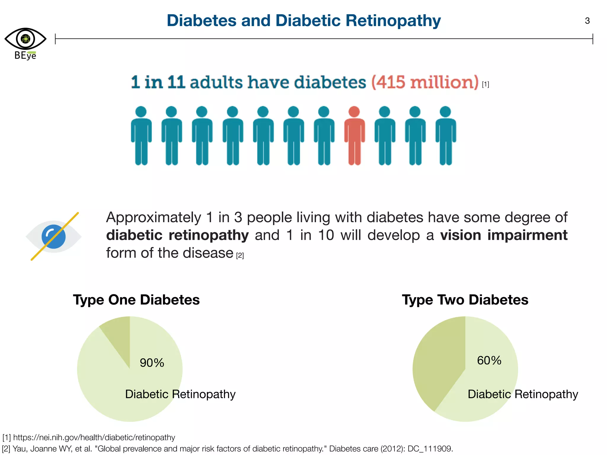 BEye: Software Implementation and Hardware Acceleration of Retinal ...