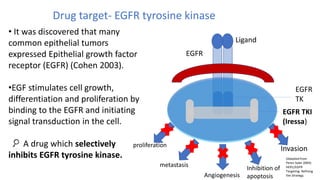 Iressa (gefitinib) | PPTX