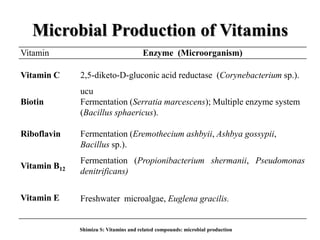 vitamin by fermnetation | PPTX